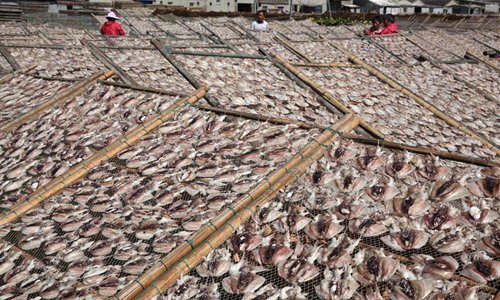 Local fishermen busy drying fish during fishing season in E China's ...
