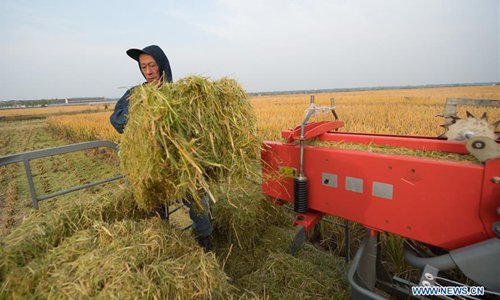 Recycling agriculture developed in China's Zhejiang - Global Times