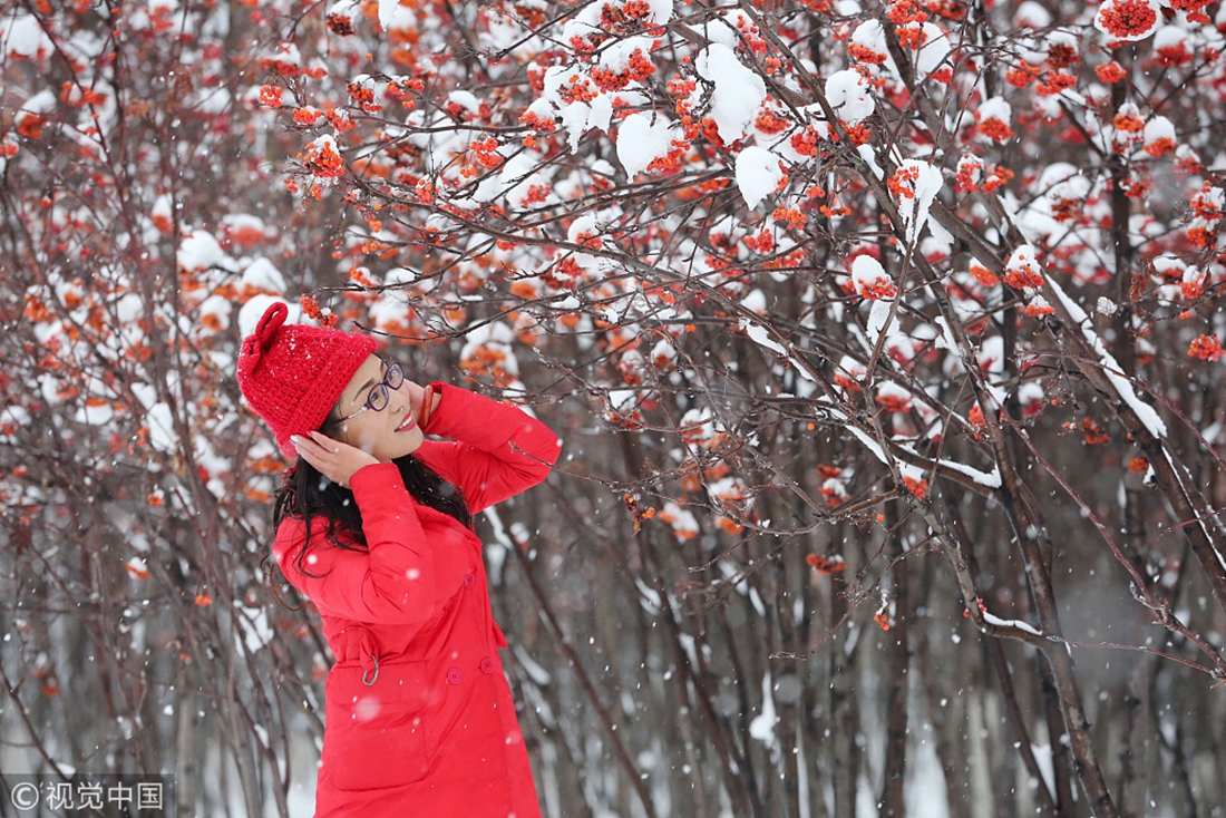 Winter Wonderland: Heavy snow blankets Heilongjiang - Global Times