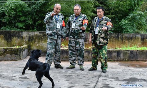 In pics: bamboo forest rangers in SW China's Guizhou - Global Times