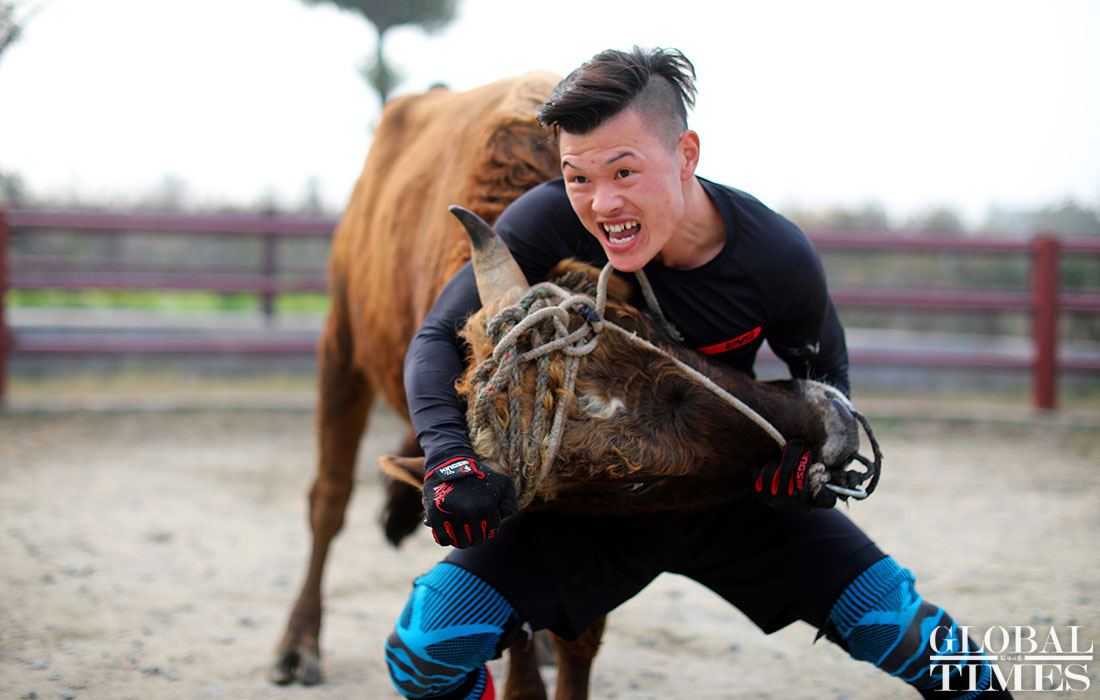 Bull wrestlers demonstrate their strength in East China’s Zhejiang ...