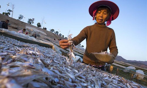 Fish farmers dry fish by Poyang Lake in east China's Jiangxi - Global Times