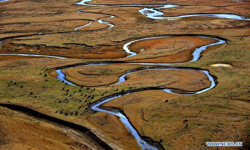 China shifts to green economy to cope with climate change - Global Times