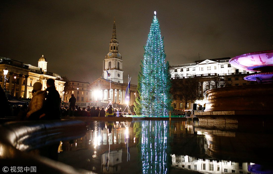 Lighting ceremony kicks off for the Christmas tree sent from Norway to ...