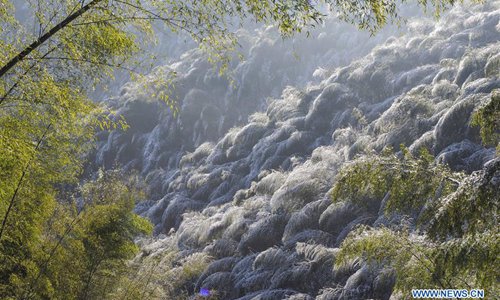 Scenery of bamboo forest after snowfall in Anhui - Global Times