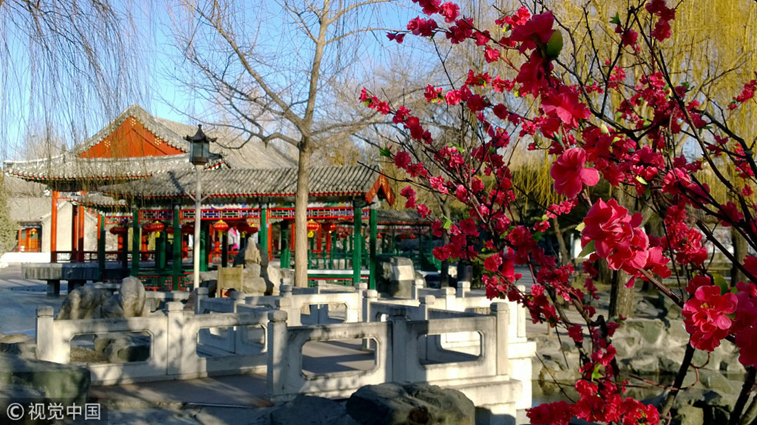 Artificial flowers embellish Beijing’s Grand View Garden - Global Times