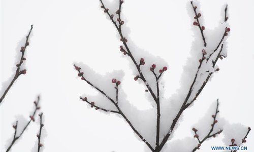 Snowfall and sleet hit east China's Zhejiang - Global Times