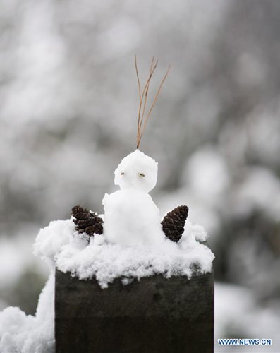 Snowfall and sleet hit east China's Zhejiang - Global Times