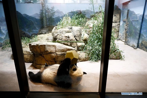 U.S. national zoo holds housewarming event inside giant panda house ...