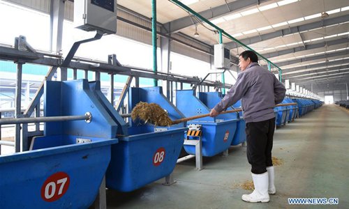 Modernized technology guarantees efficiency and quality of livestock ...