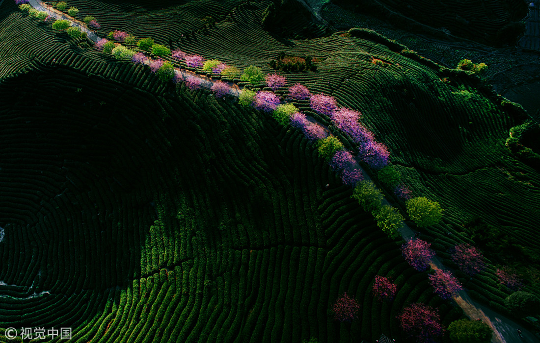 China’s rural revitalization strategy makes countryside more beautiful ...