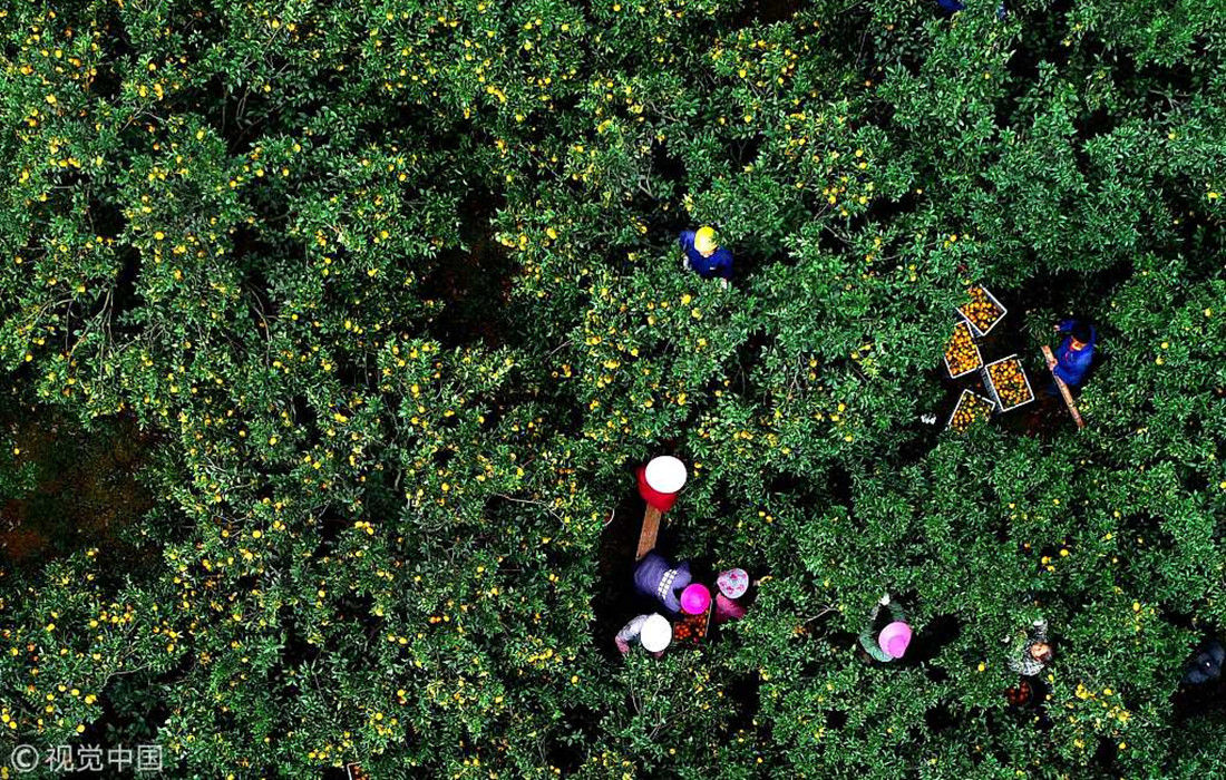 China’s rural revitalization strategy makes countryside more beautiful ...