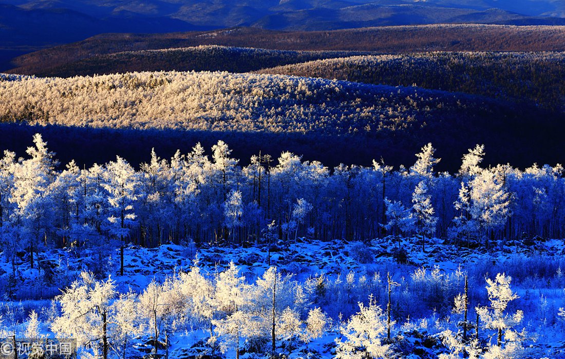 The spectacular scenes of forests around China show the beauty of ...