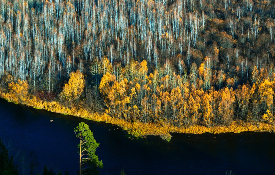 The spectacular scenes of forests around China show the beauty of ...
