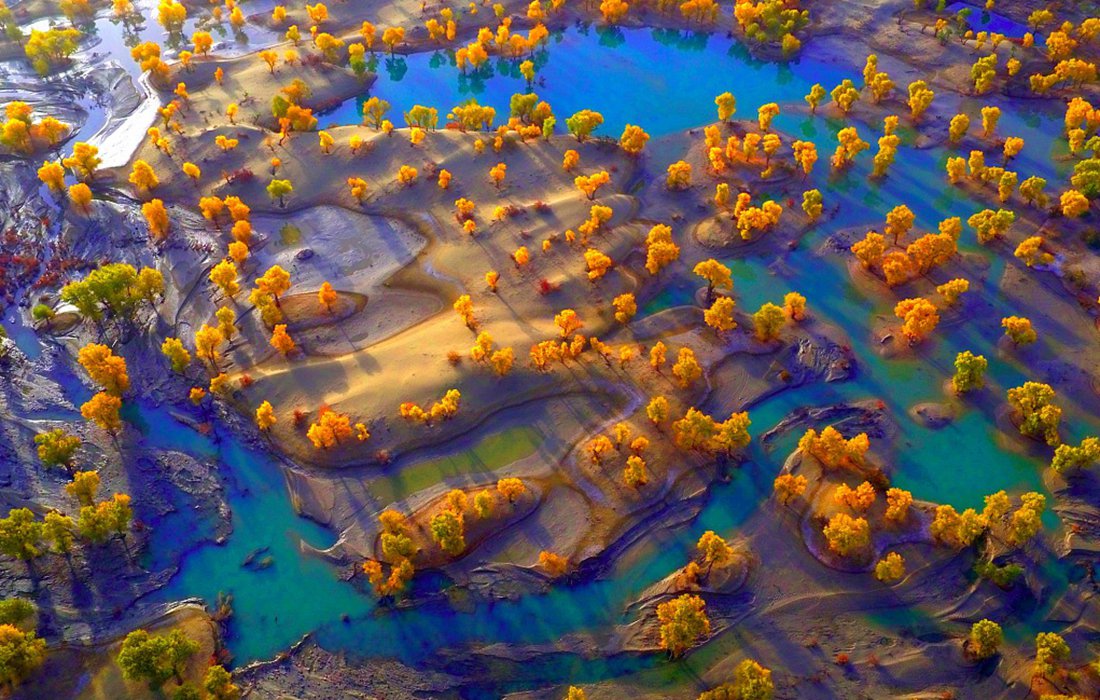 The spectacular scenes of forests around China show the beauty of ...