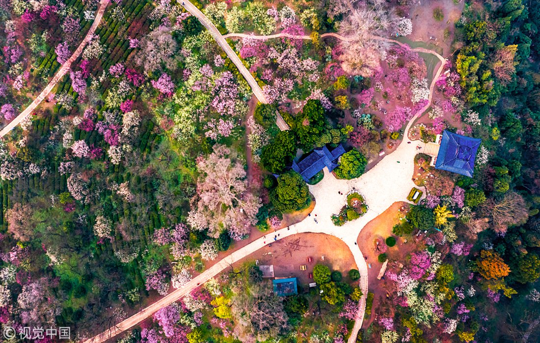 The spectacular scenes of forests around China show the beauty of ...