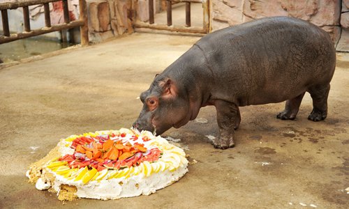 Big appetite - Global Times