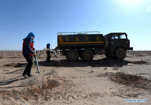 People plant sacsaoul trees at desert to prevent and control ...