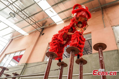 Lion dance performers blend acrobatic stunts - Global Times