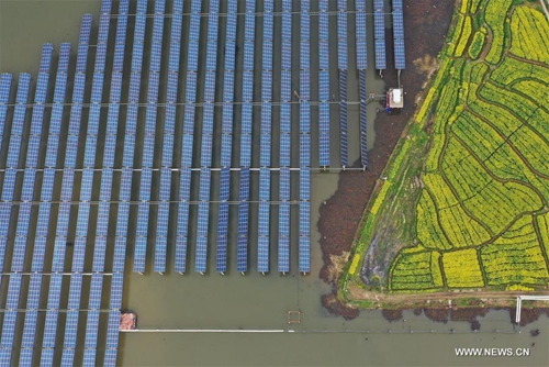 The sun dawns again on China’s photovoltaic sector - Global Times