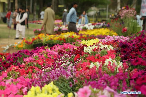 People visit spring flower show in Islamabad, Pakistan - Global Times