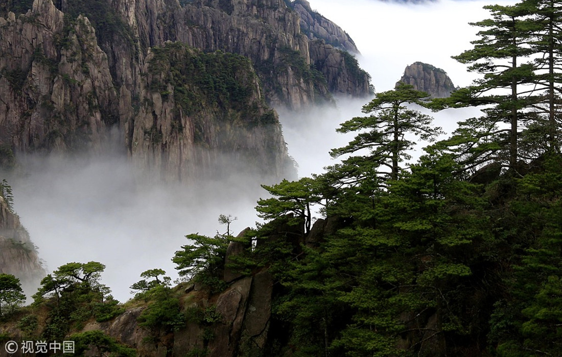 Gorgeous sea of clouds envelops Huangshan Mountain in East China - Global Times