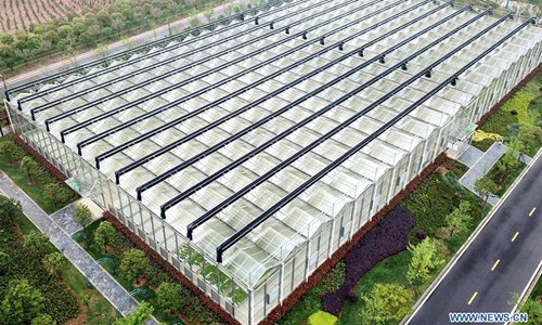 Greenhouses in Jiayu County, central China's Hubei - Global Times