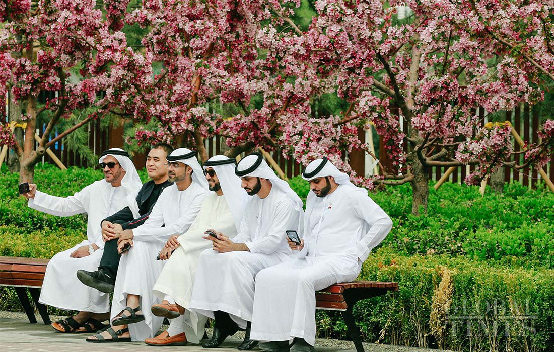 Intl Horticultural Exhibition 2019 Beijing opens to public - Global Times