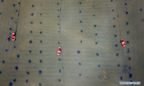 Tuohu Township promotes farming crayfish, rice together in paddy fields ...