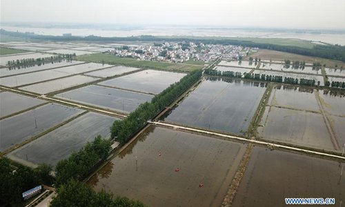 Tuohu Township promotes farming crayfish, rice together in paddy fields ...