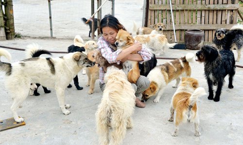 Sichuan dog lover racks up huge debts to raise strays - Global Times