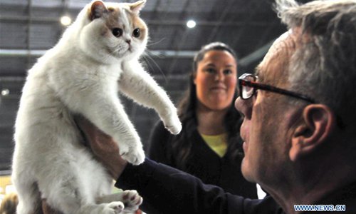 International cat show "Baltic Winner 2019" held in Riga, Latvia ...