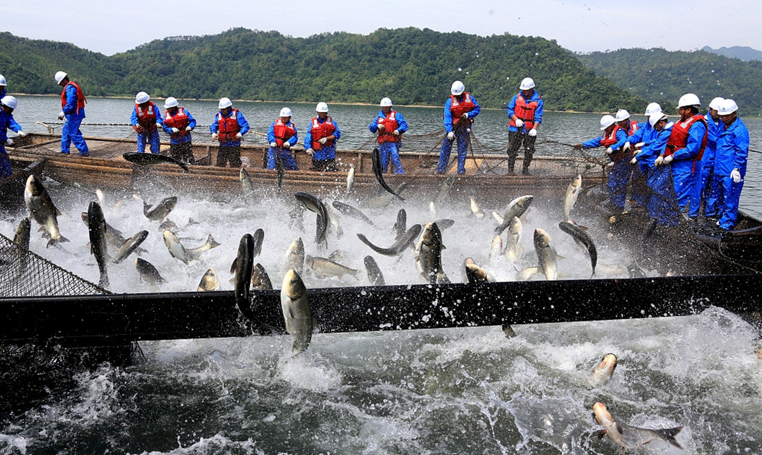 Fishing events held in East China - Global Times