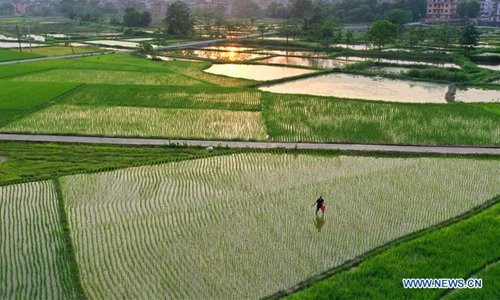 Countryside scenery by Lianxi River in Yongzhou, C China - Global Times