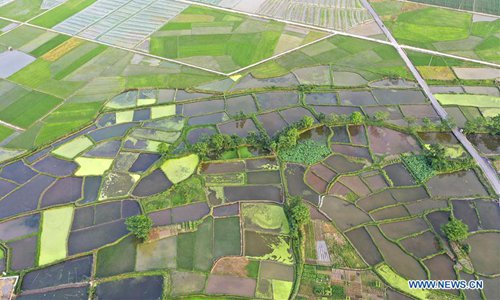 Countryside scenery by Lianxi River in Yongzhou, C China - Global Times
