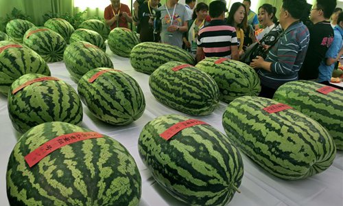 Watermelon museum without a real watermelon opens in Beijing - Global Times