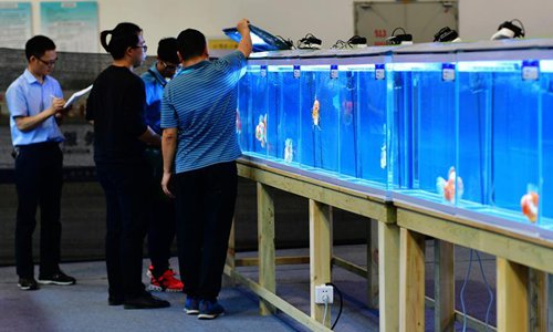 2nd international goldfish competition held in Fuzhou - Global Times