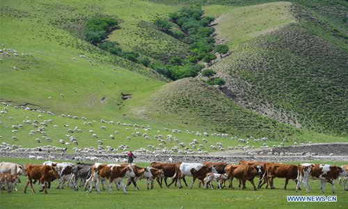 View of Ar Horqin grassland in China's Inner Mongolia - Global Times