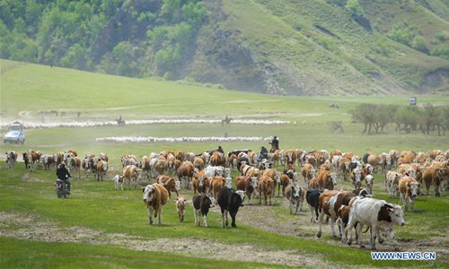 View of Ar Horqin grassland in China's Inner Mongolia - Global Times