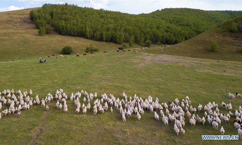View of Ar Horqin grassland in China's Inner Mongolia - Global Times