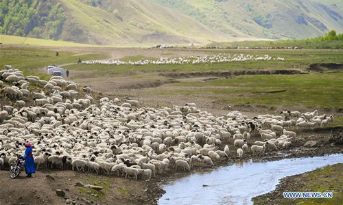 View of Ar Horqin grassland in China's Inner Mongolia - Global Times