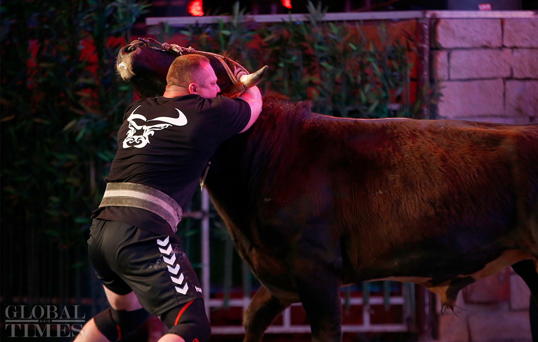 The 8th Chinese Bullwrestling Champions International Final Competition ...