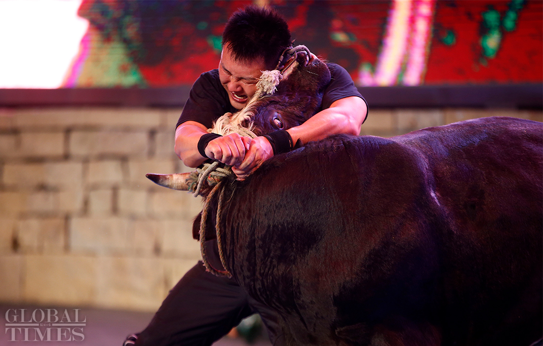 The 8th Chinese Bullwrestling Champions International Final Competition ...