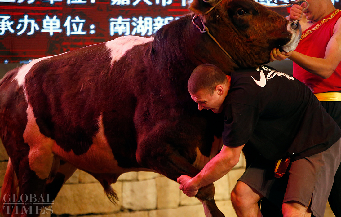 The 8th Chinese Bullwrestling Champions International Final Competition ...
