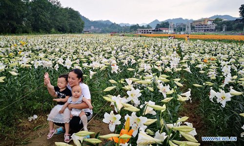 Lily flowers in SW China's Guizhou - Global Times