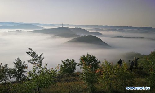 Wuqi county in Yan'an pursues ecological, sustainable development ...