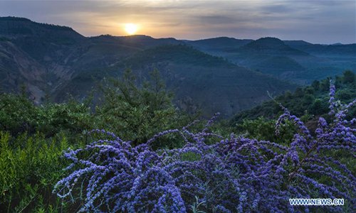 Wuqi county in Yan'an pursues ecological, sustainable development ...