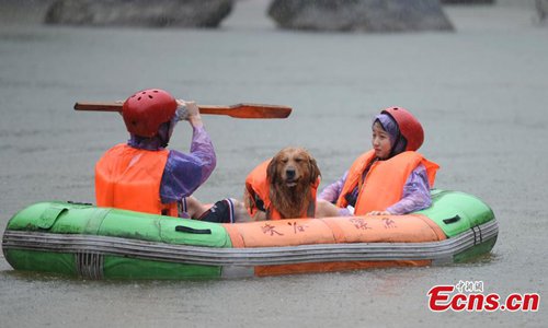 Rafting contest for dog and owner together - Global Times