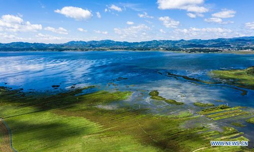 Caohai Lake in China's Guizhou recovers original size - Global Times