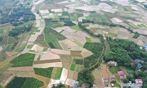 Farmland scenery of Quanzhou County, south China's Guangxi - Global Times